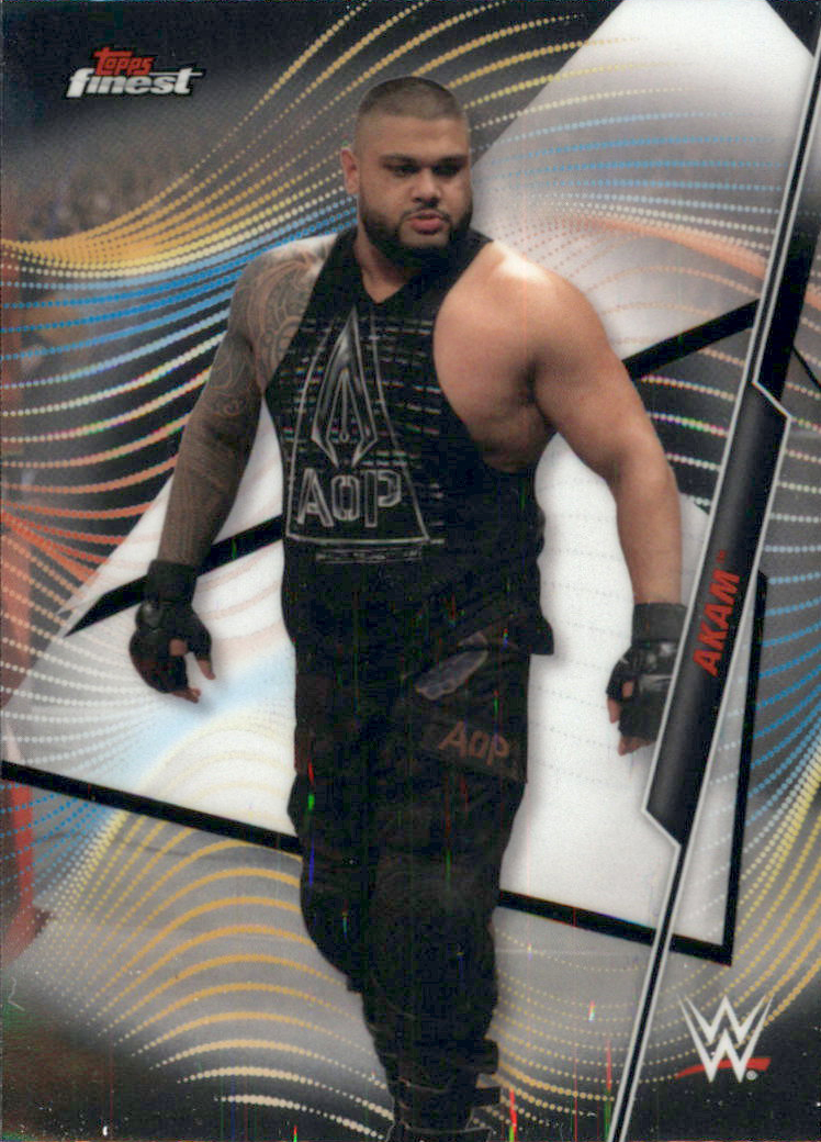 Akam Wrestling Price Guide | Akam Trading Card Value – Beckett