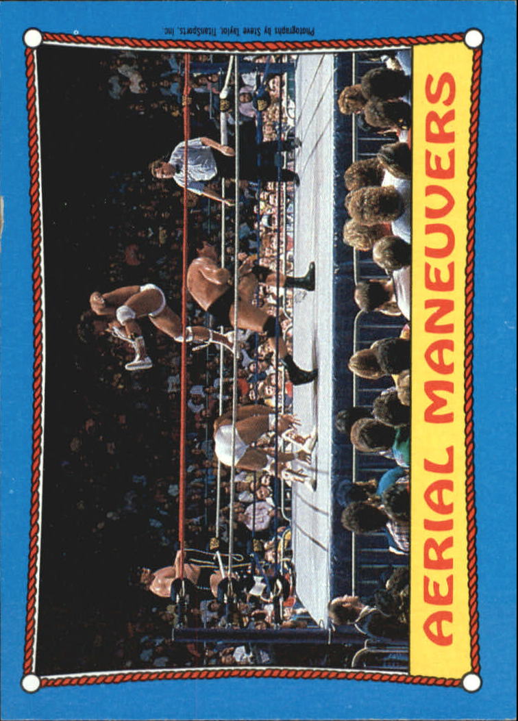 The Can-Am Connection (tag team) Wrestling Price Guide | The Can-Am ...
